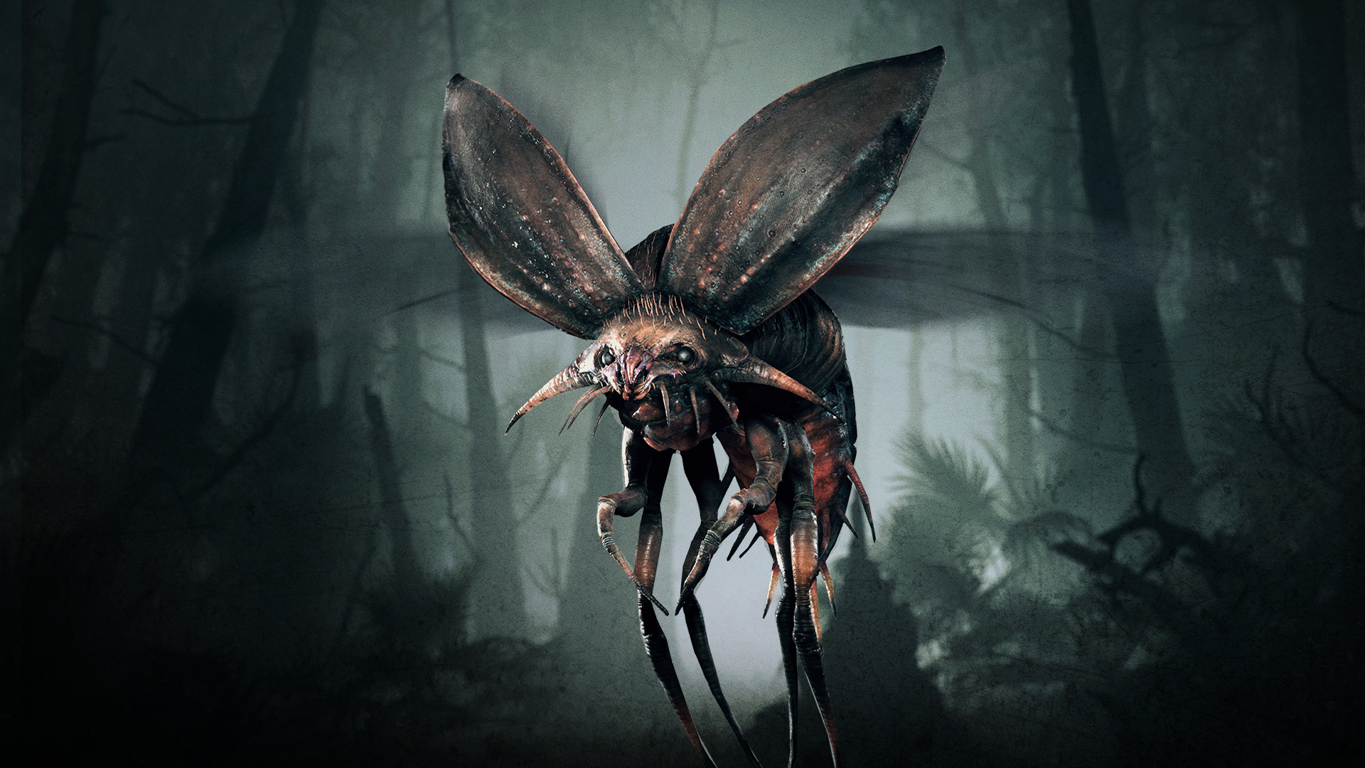 Hunt: Showdown - Developer Insight- Current and Upcoming Bug Fixes